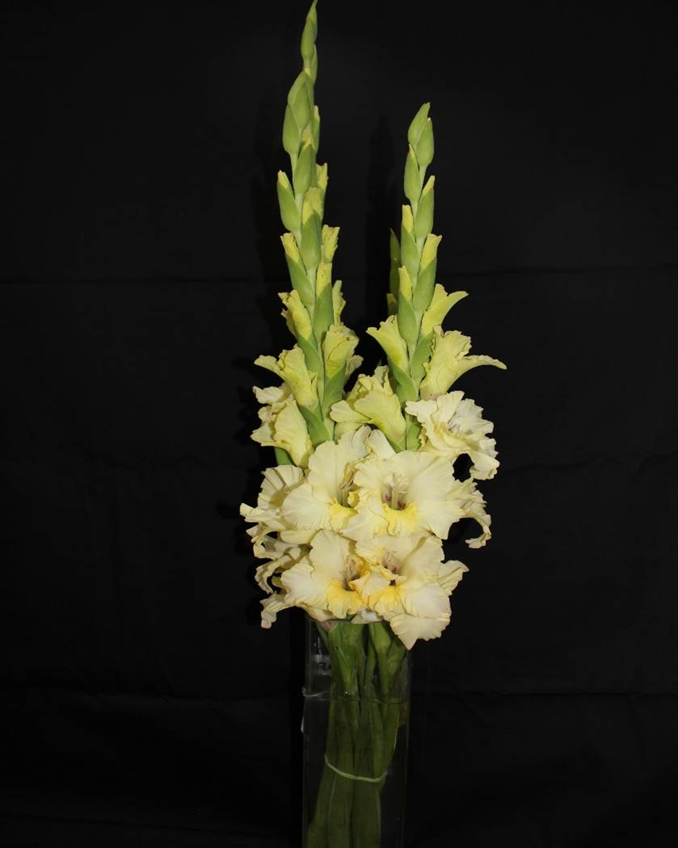 ICAR-Directorate of Floricultural Research